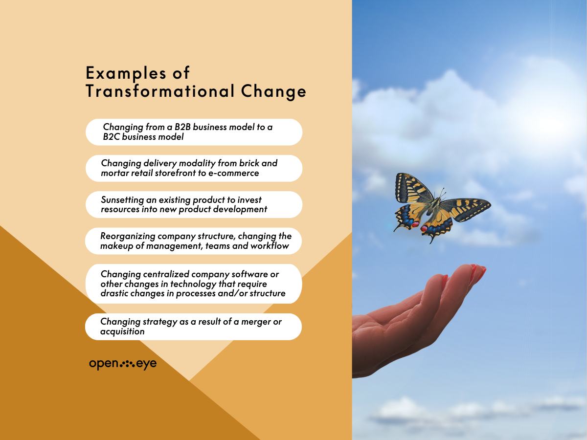 How to Navigate Transformational Change at Your Organization | Open Eye