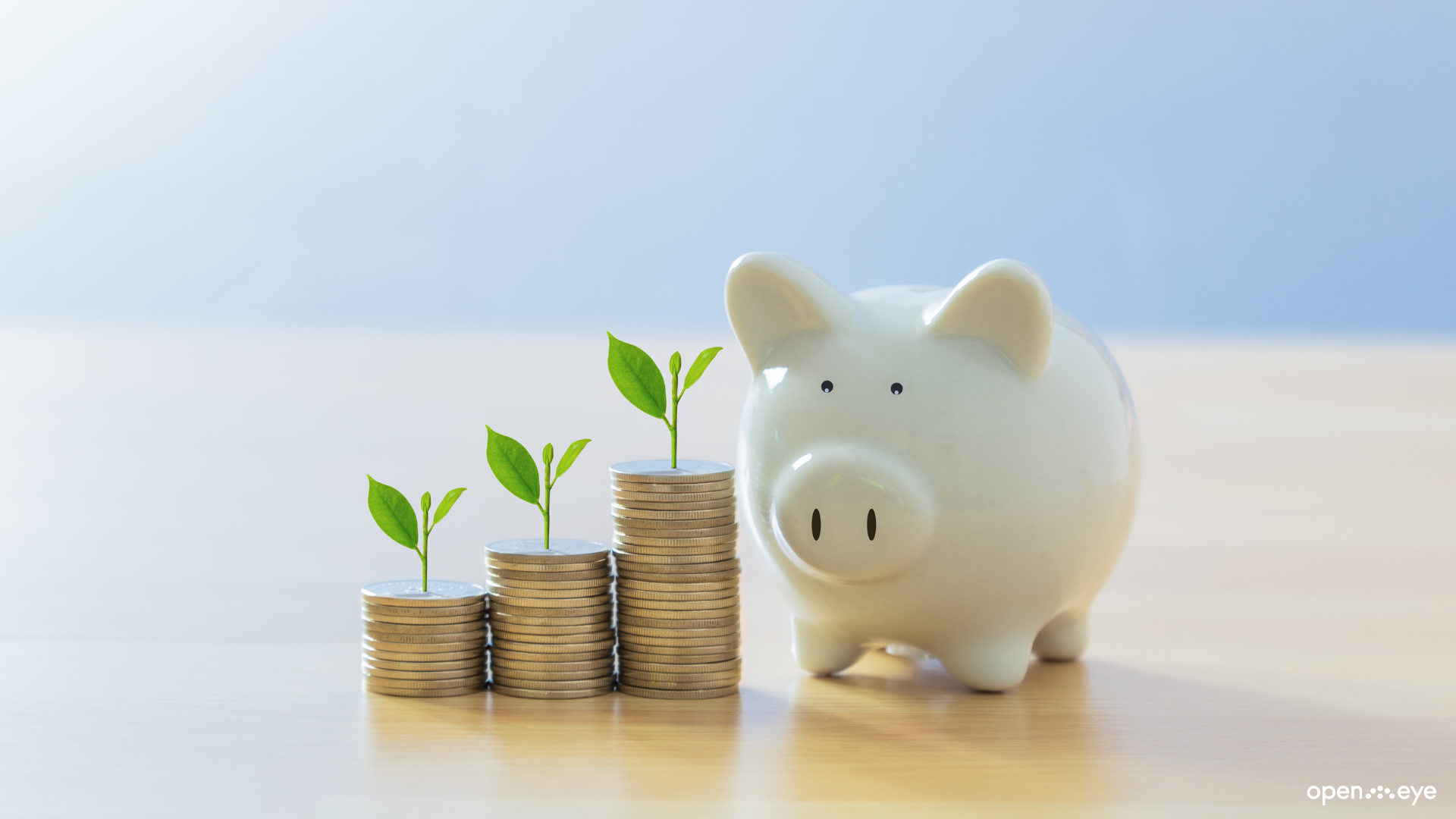 Nonprofit Earned Income: Six Proven Strategies to Diversify Your ...